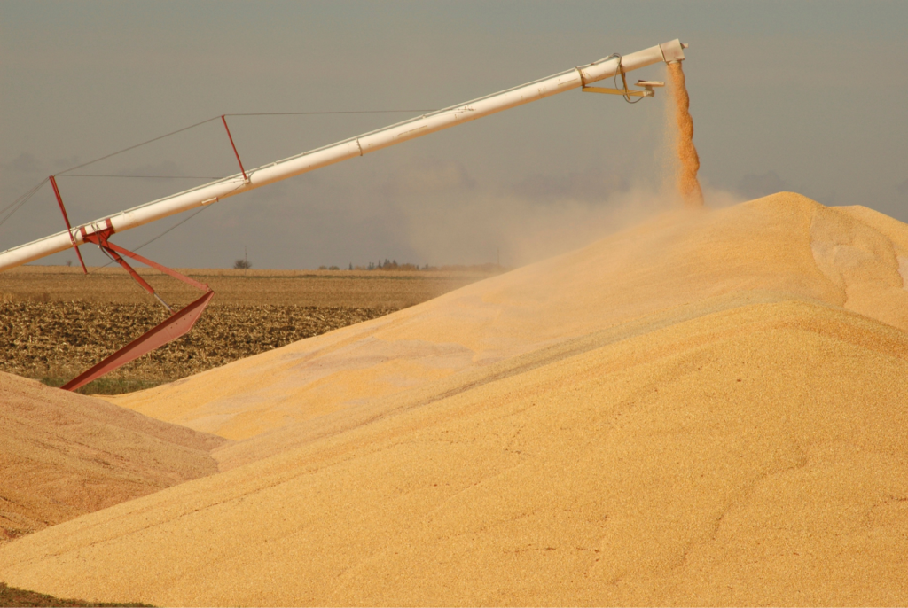 Southeast Asia Export Team Tours Colorado's Corn Facilities - Colorado ...